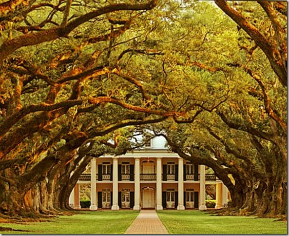 Things That Inspire: Allée of trees